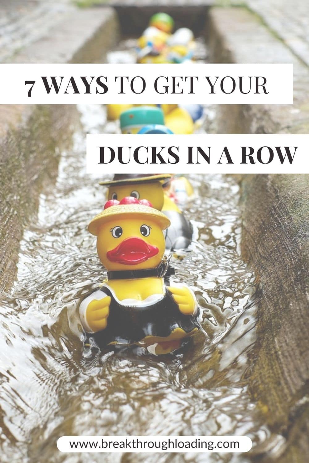 7 ways to get your ducks in a row (and your life in order ...